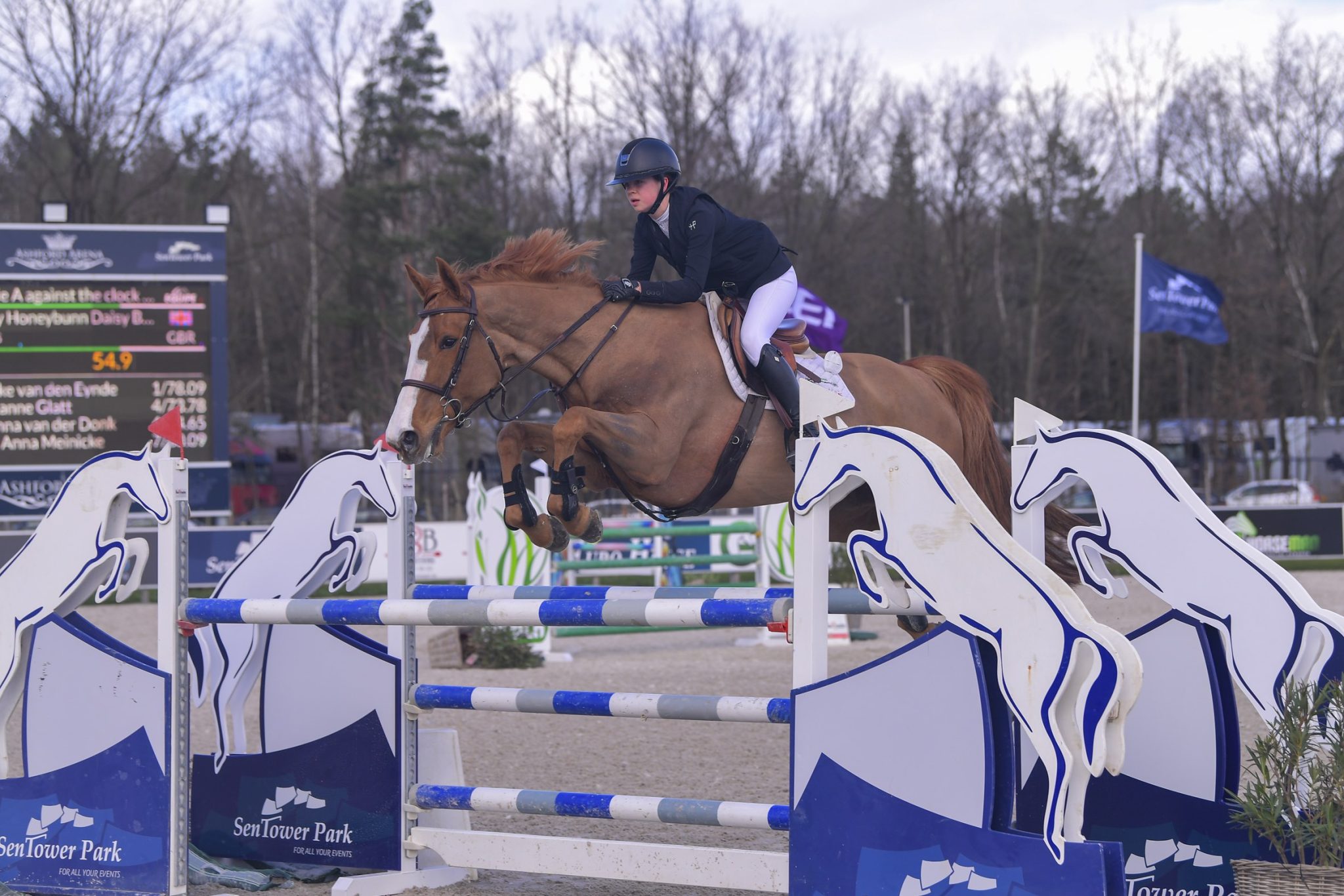 Welcome - Breen Equestrian LTD