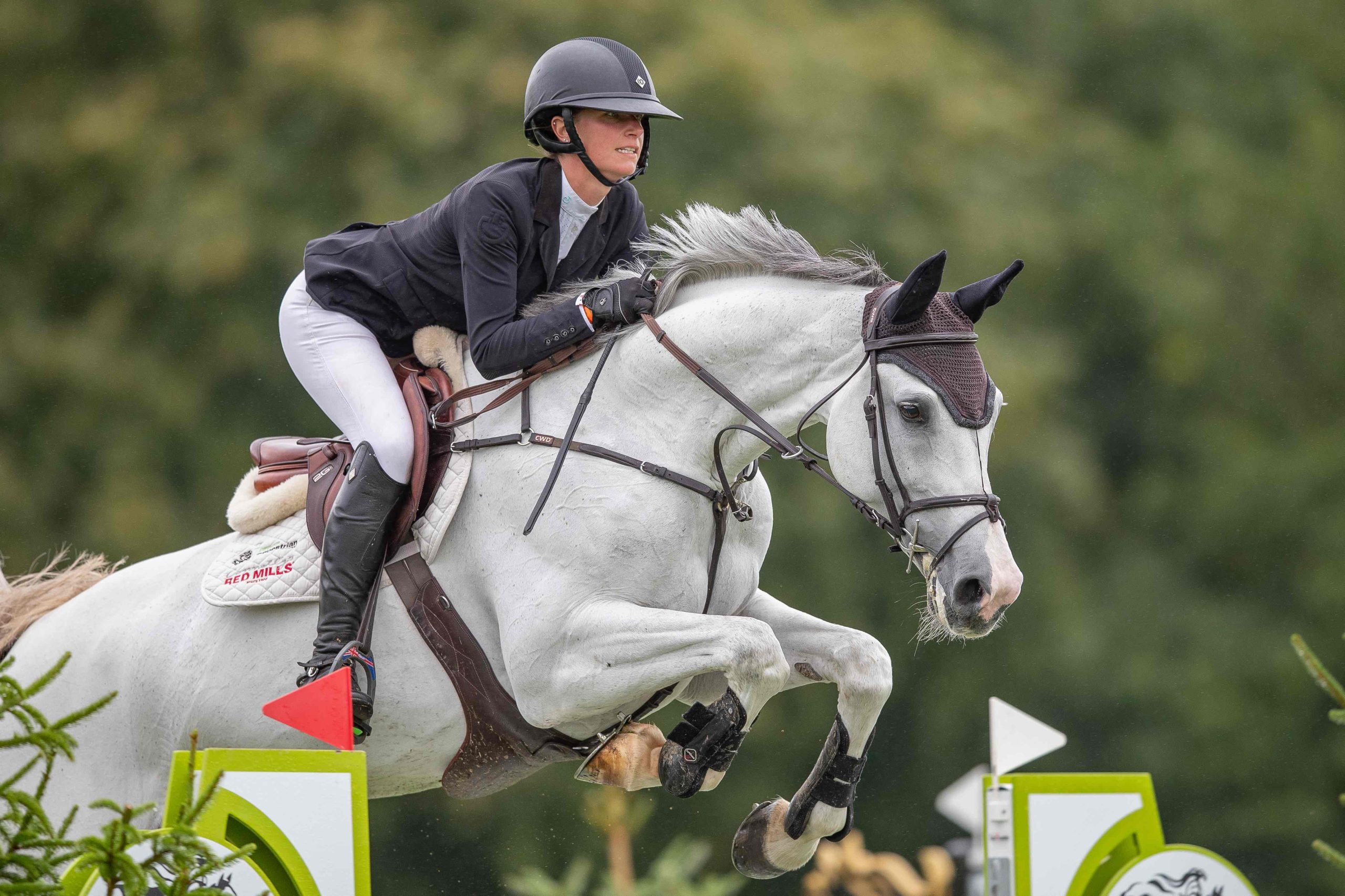 Cindy Z - Breen Equestrian LTD