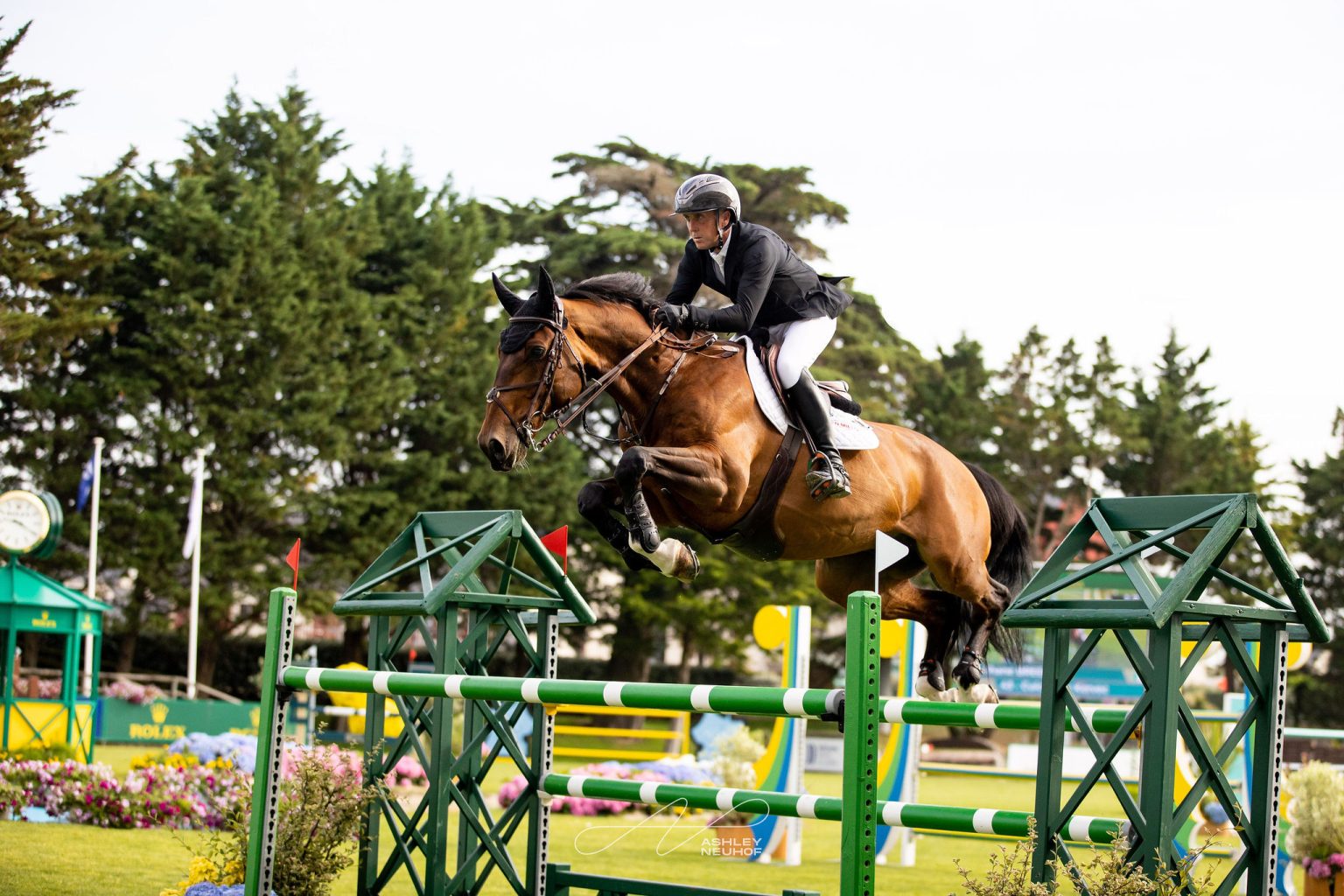 Stud & Breeding - Breen Equestrian LTD