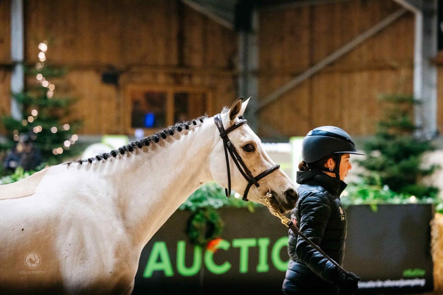 AUCTIONS - Breen Equestrian LTD