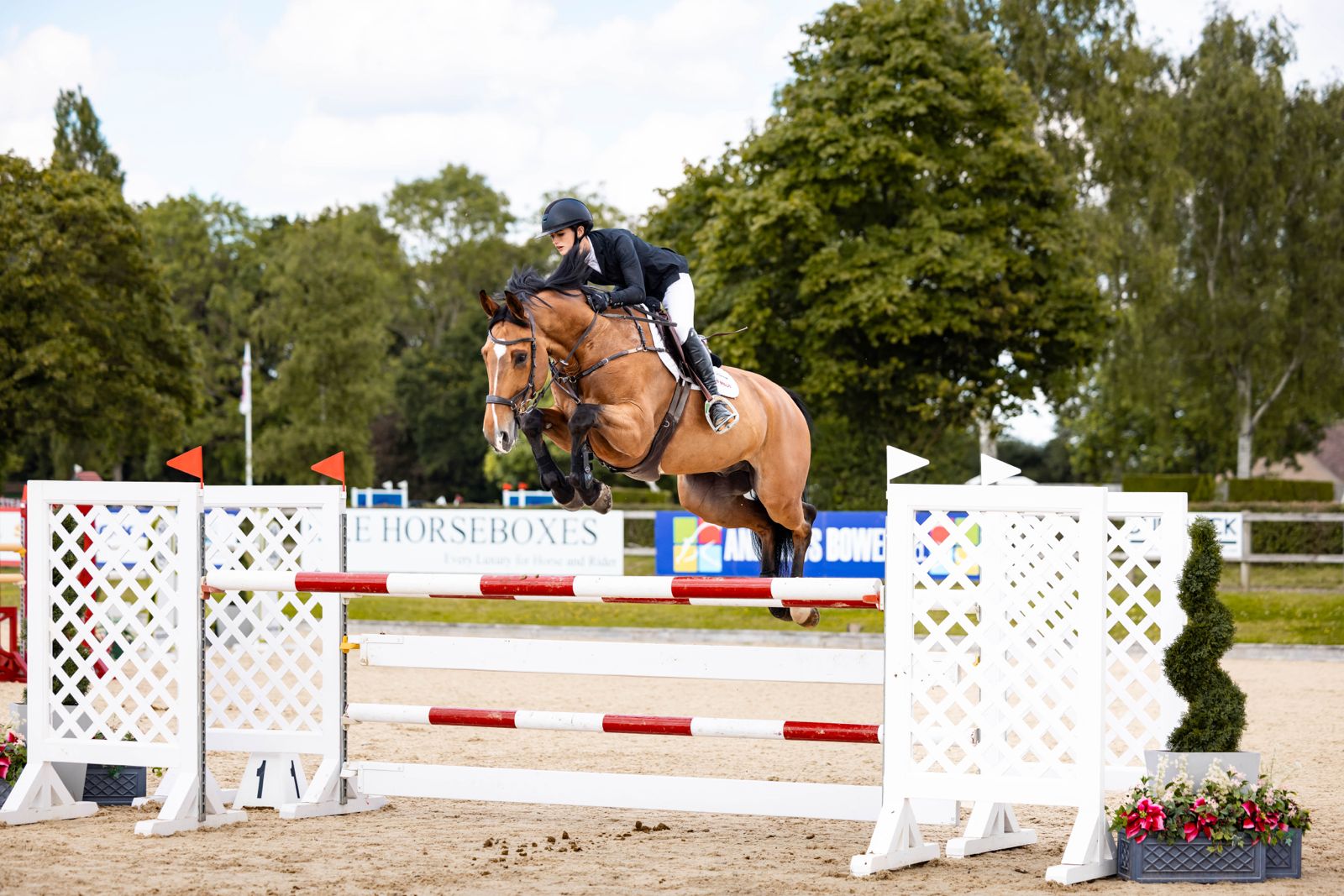 Upcoming Auction - Breen Equestrian LTD