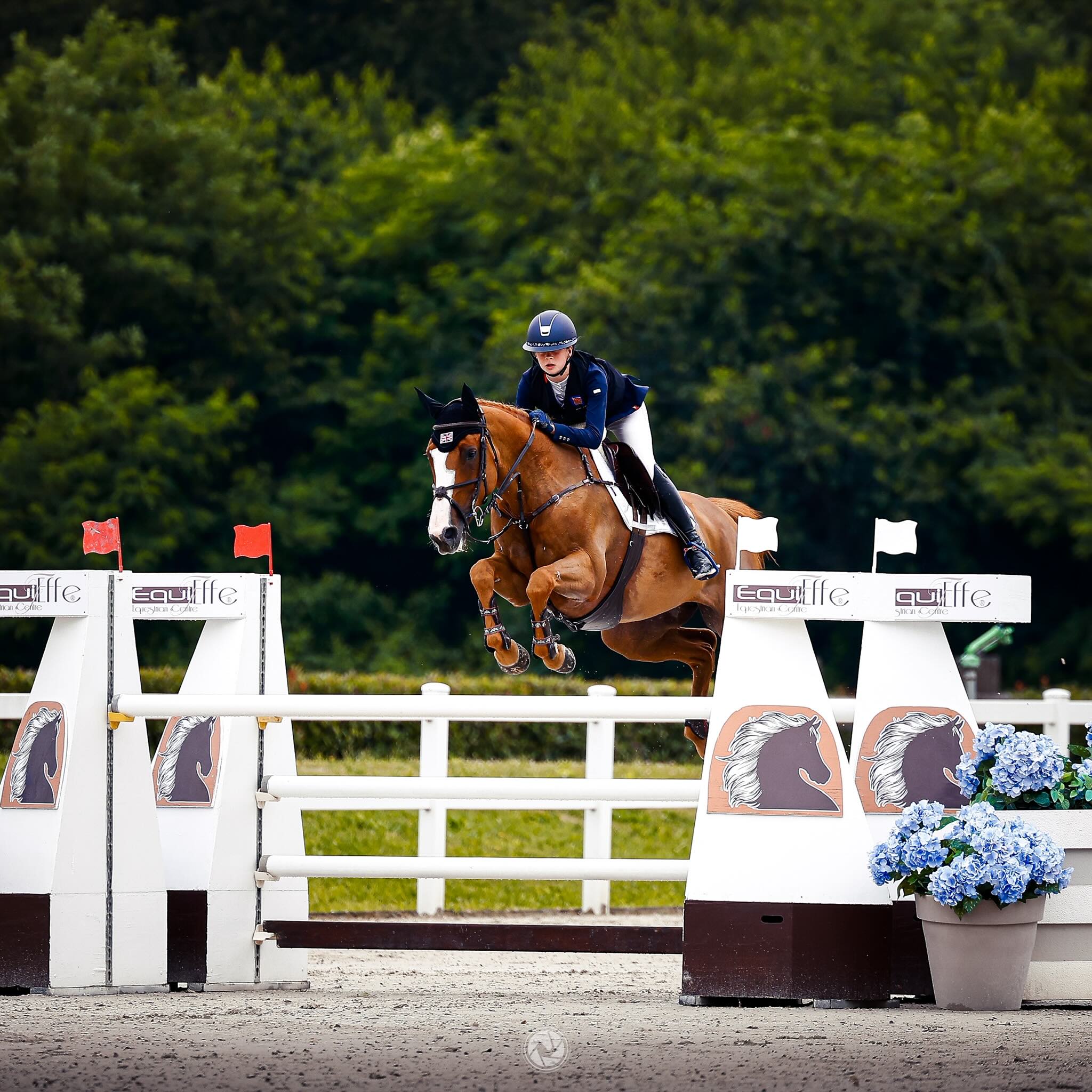 Darcy Breen - Breen Equestrian LTD