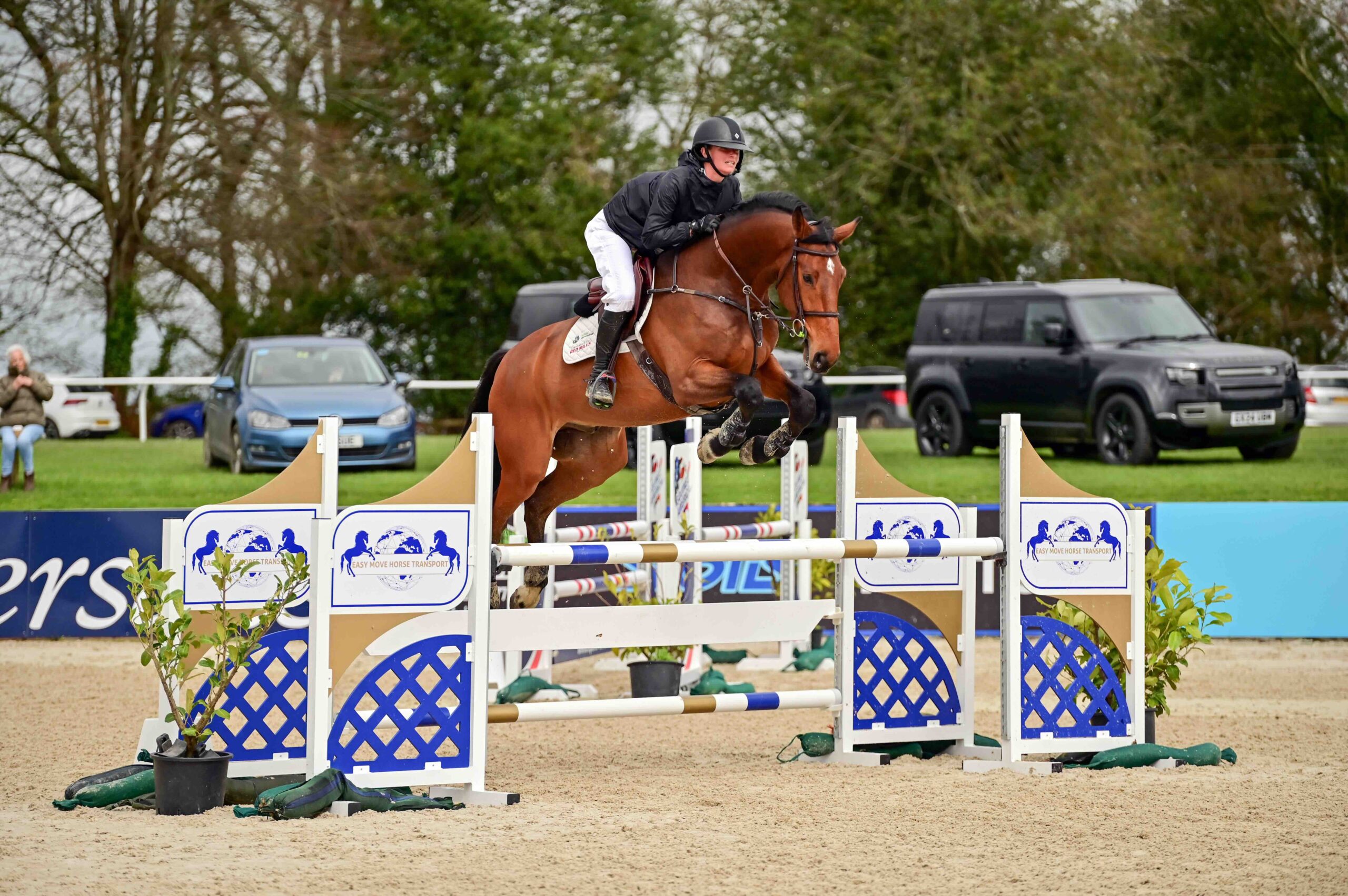 Billy Mombasa - Breen Equestrian LTD