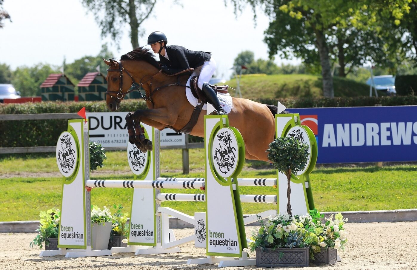 Breen's Magic Obolensky - Breen Equestrian LTD